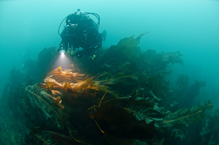 National Geographic Pristine Seas – Eeyou Marine Region Wildlife Board